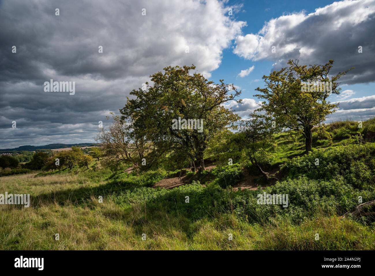 Neolithic durrington walls hi-res stock photography and images - Alamy