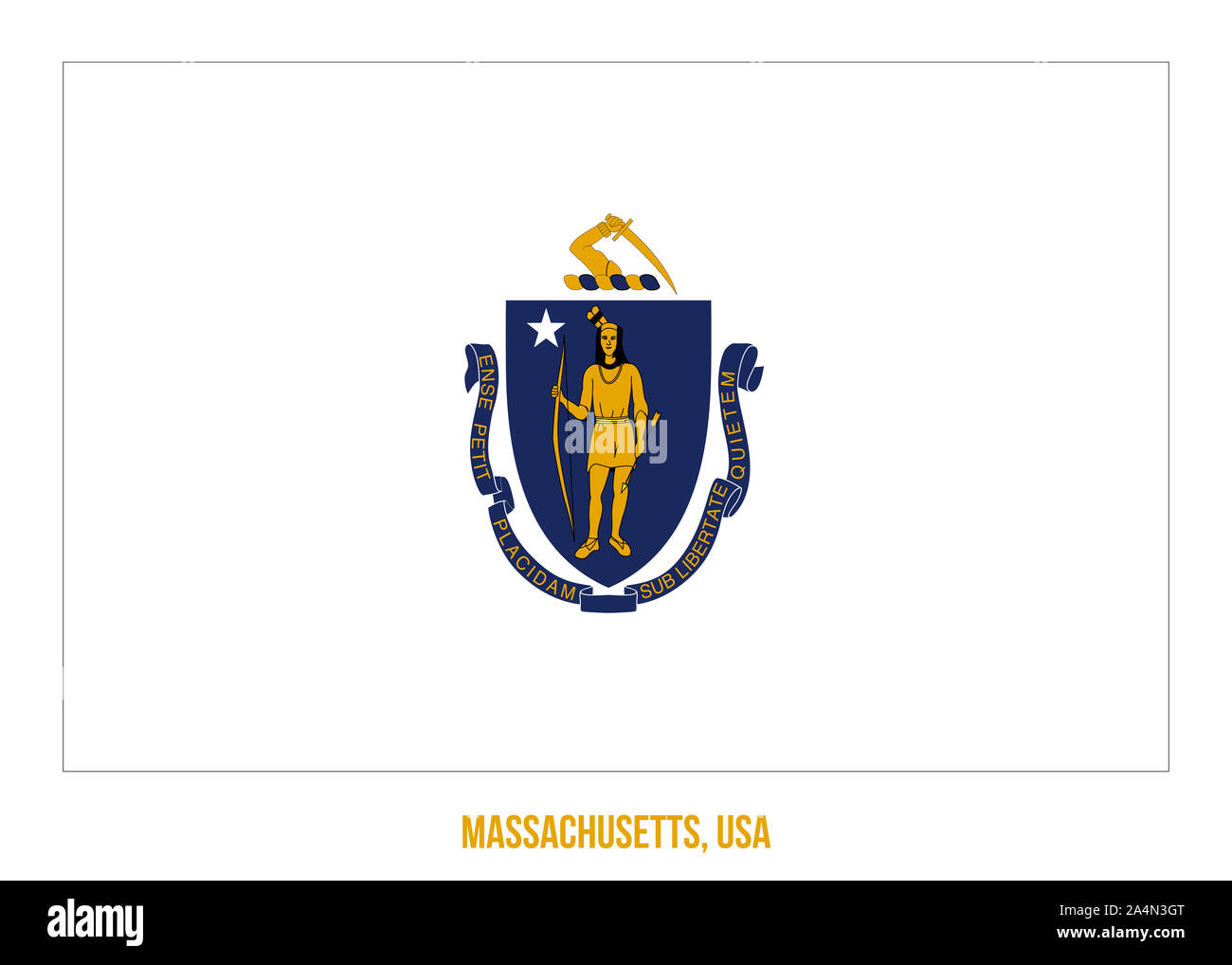 Massachusetts (USA State) Flag Vector Illustration on White Background ...