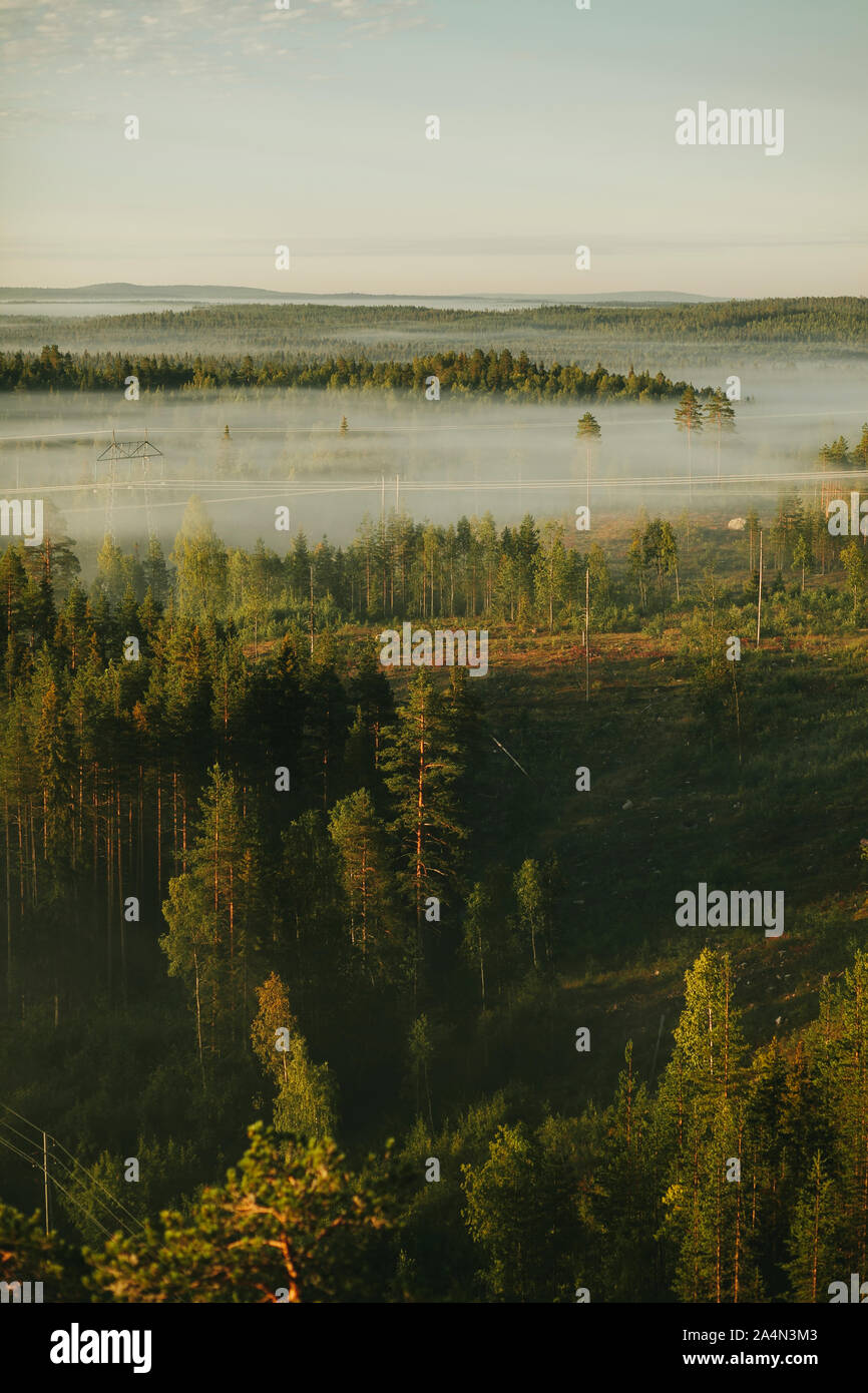 Cut over forest hi-res stock photography and images - Alamy