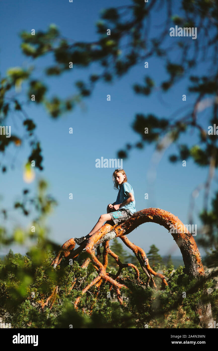 Bended tree hi-res stock photography and images - Alamy