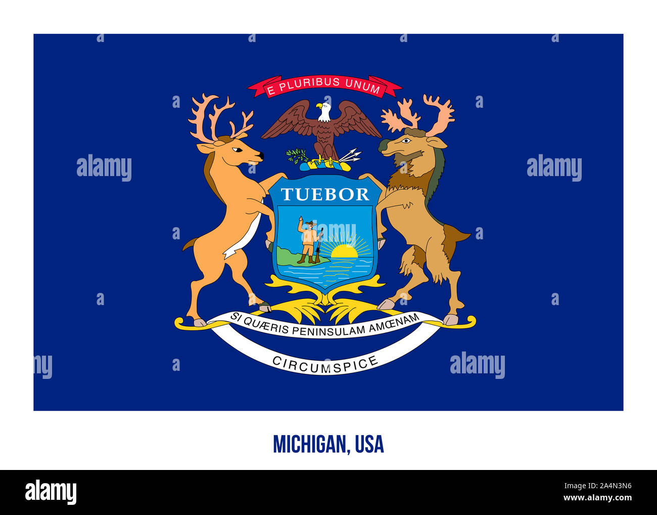 Michigan (USA State) Flag Vector Illustration on White Background. Flag ...