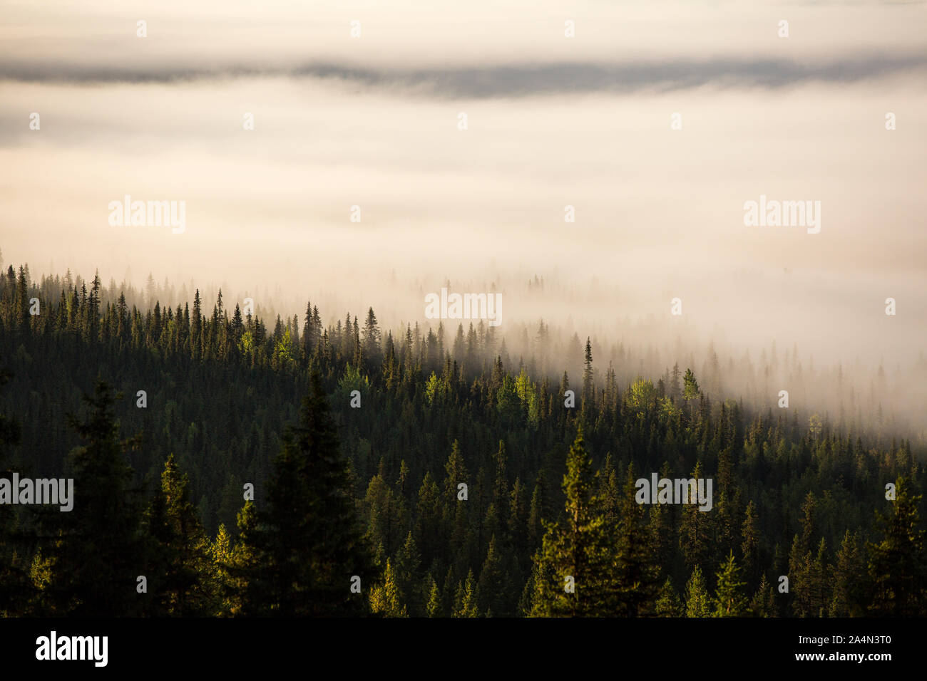 Landscape image view fog hi-res stock photography and images - Alamy