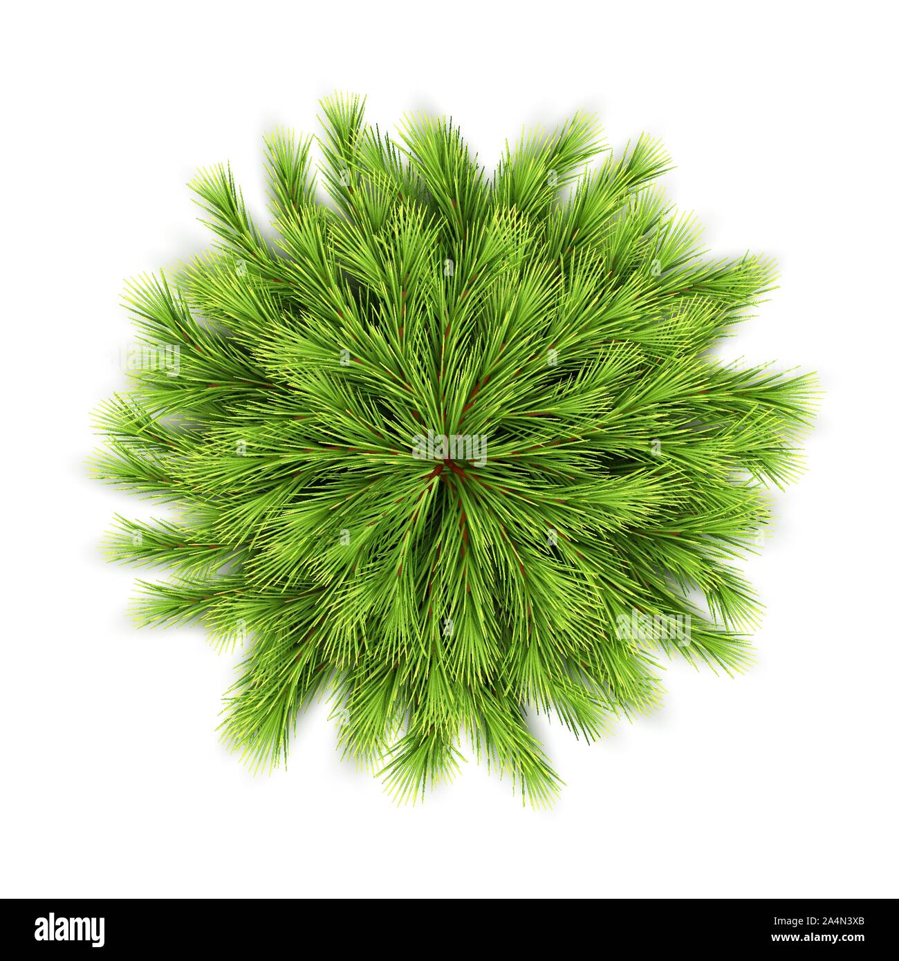 Green wreath fir branches Stock Vector Images - Alamy