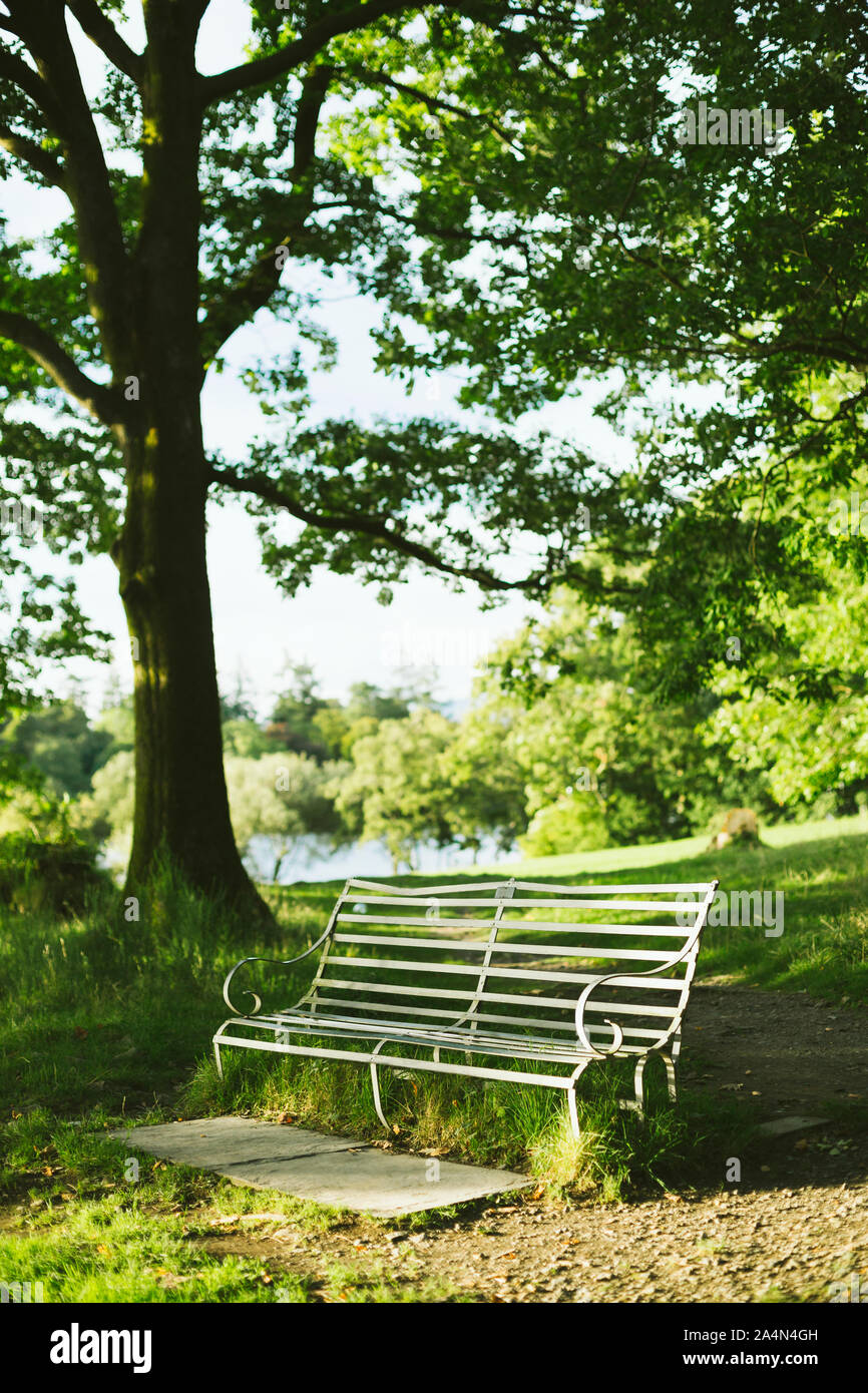 Bench under tree Stock Photo - Alamy