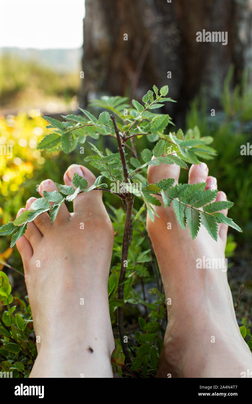 Feet near seedling Stock Photo - Alamy