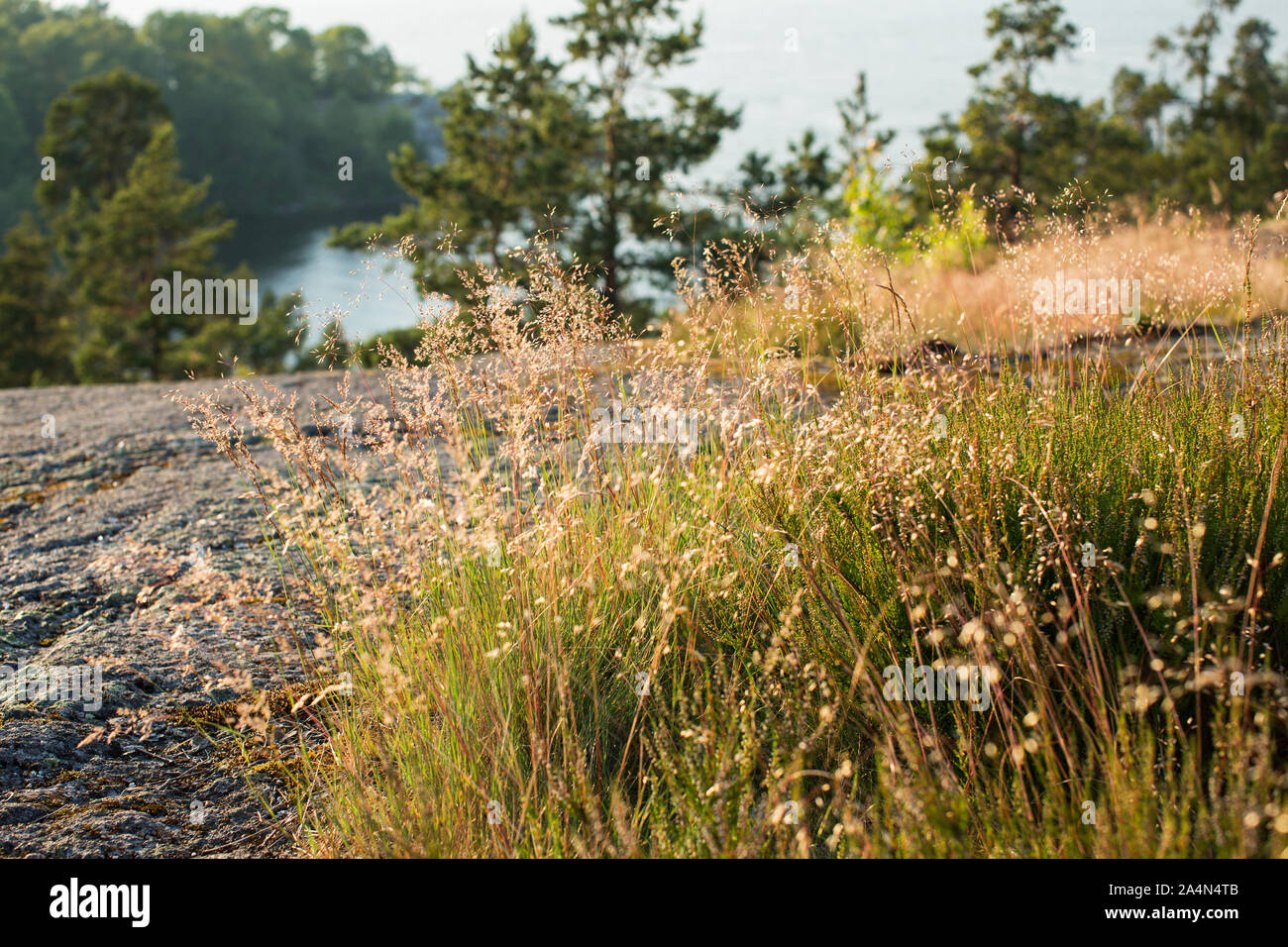 Grass cliff hi-res stock photography and images - Alamy