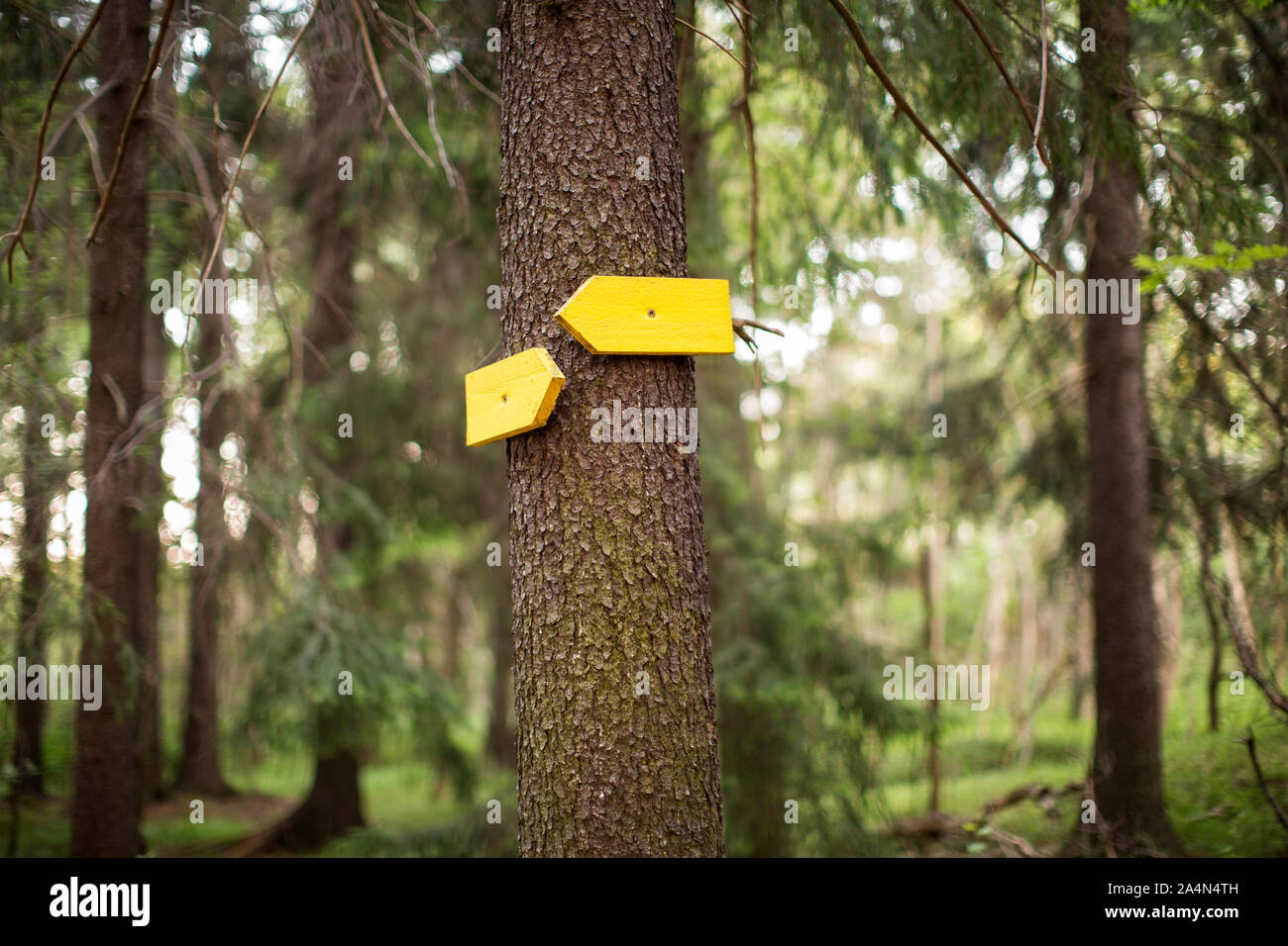 Green arrow signs hi-res stock photography and images - Alamy