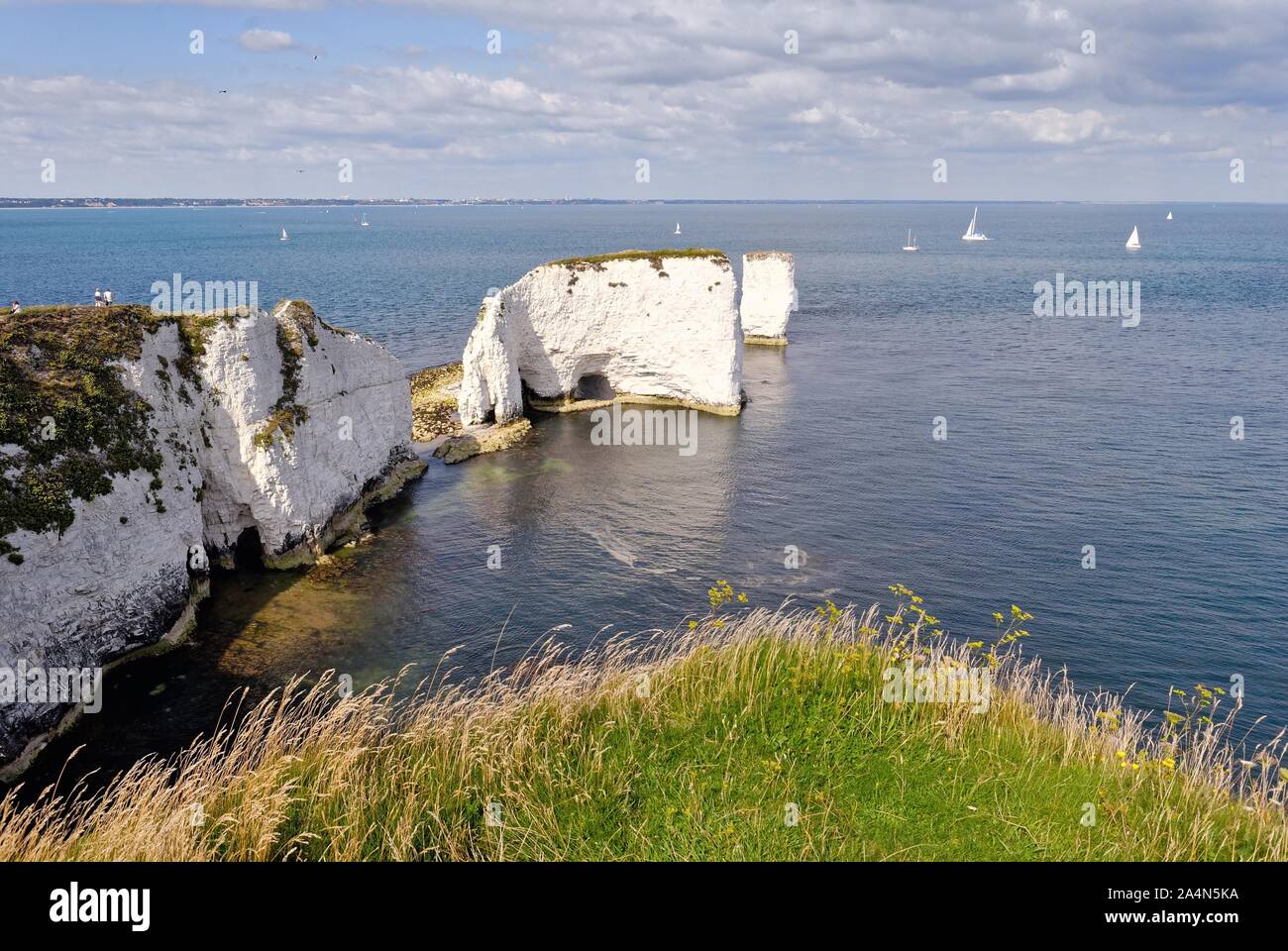 The Old Harry Rocks, chalk sea stacks, on the Isle of Purbeck Dorset ...