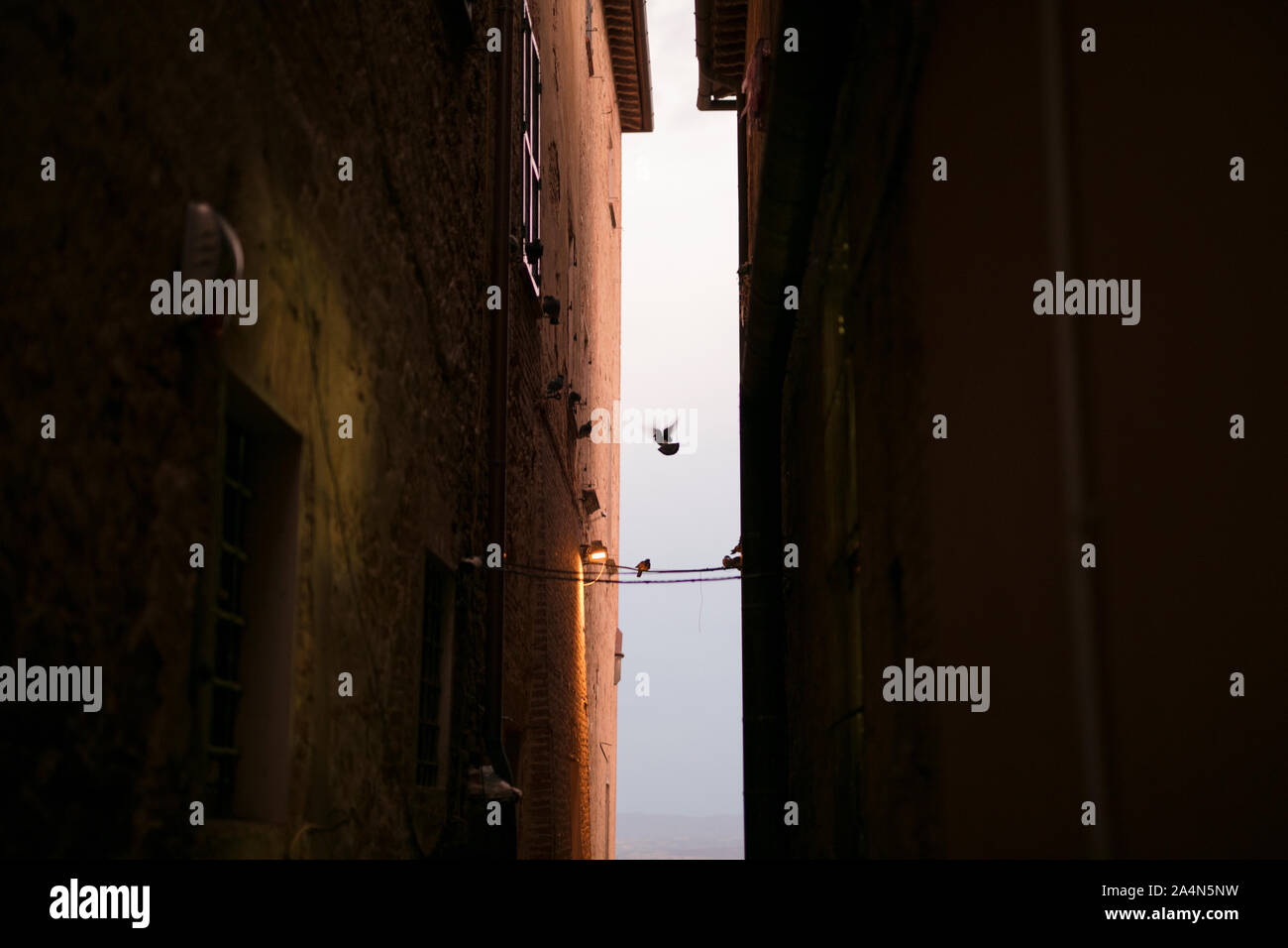 Narrow bird hi-res stock photography and images - Alamy