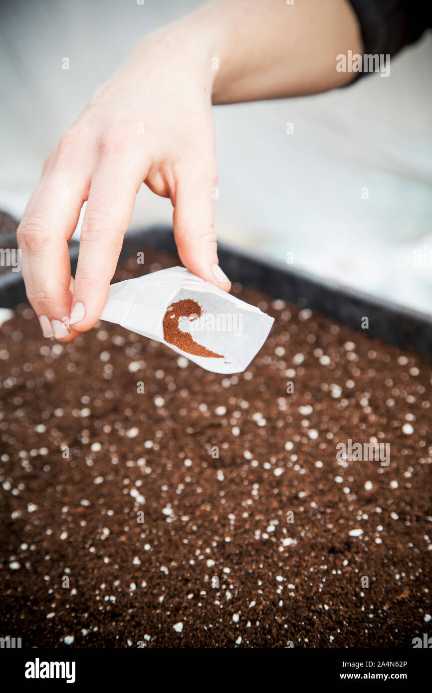 Hand holding seed packet hi-res stock photography and images - Alamy