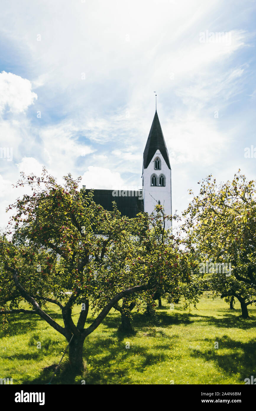 Church and trees Stock Photo - Alamy