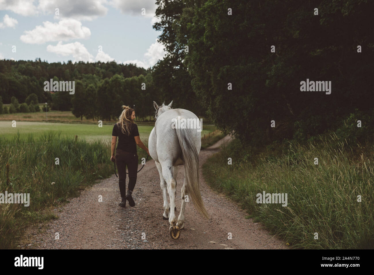 Woman Walking Rear View Horse High Resolution Stock Photography and ...