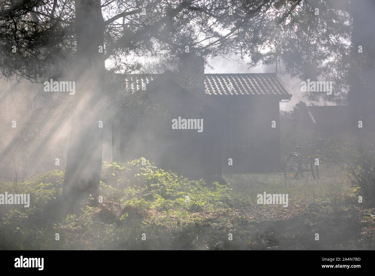 House in fog Stock Photo - Alamy
