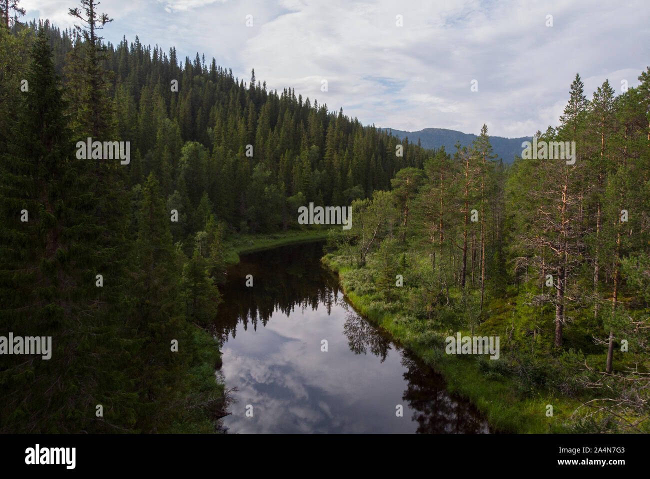 Going to forest hi-res stock photography and images - Alamy