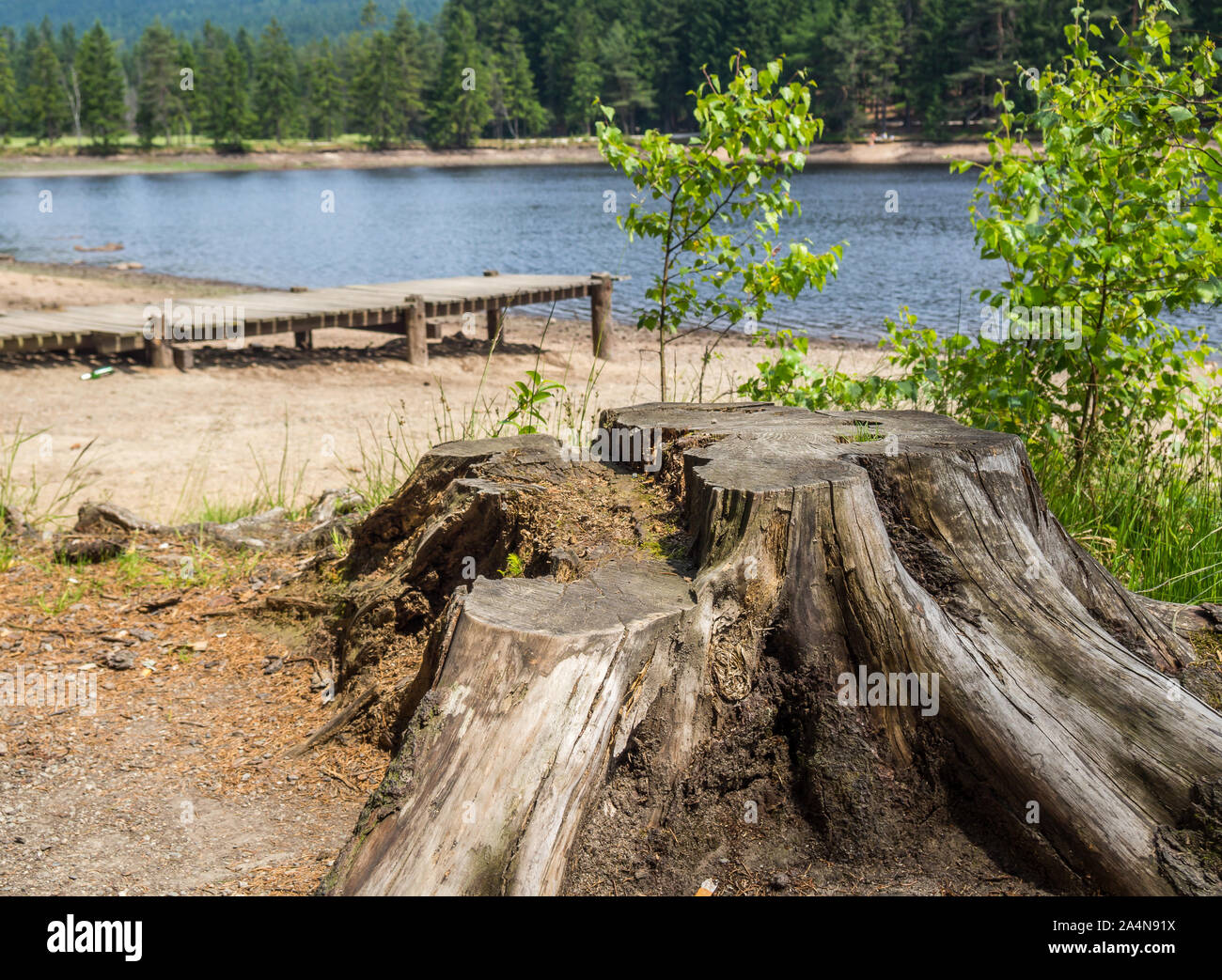 Nature Fichtelsee in Franconia Bavaria Fichtelgebirge Stock Photo - Alamy