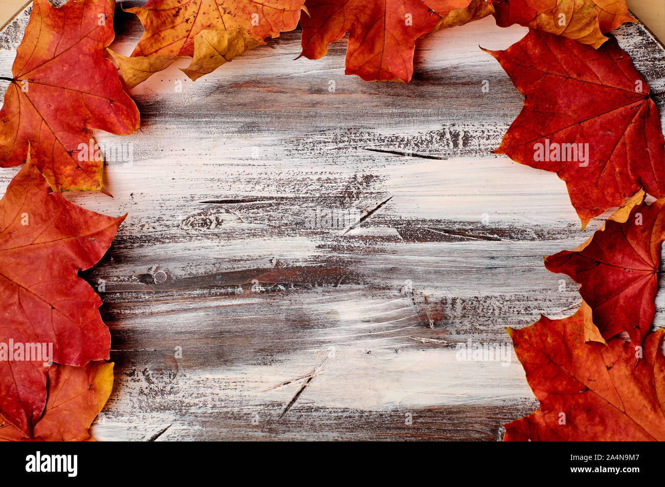 Colorful vertical frame of fallen autumn leaves chestnuts Stock Photo ...
