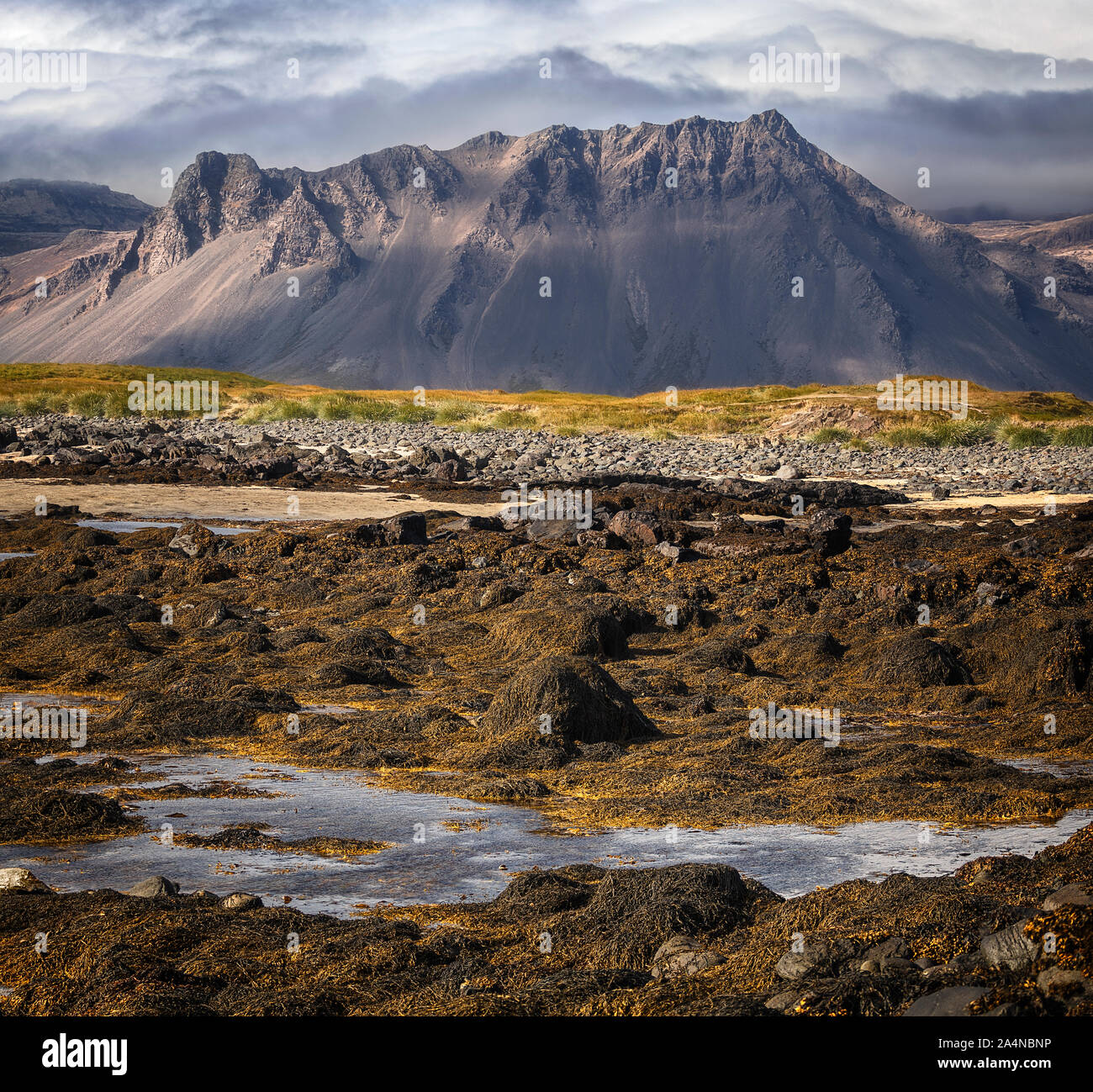 Beautiful mountain view as seen from Ytri Tunga Beach in Snaefellsnes ...