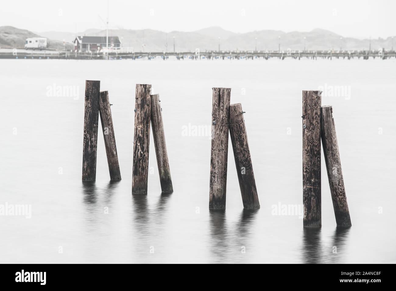 Wooden poles in sea Stock Photo - Alamy