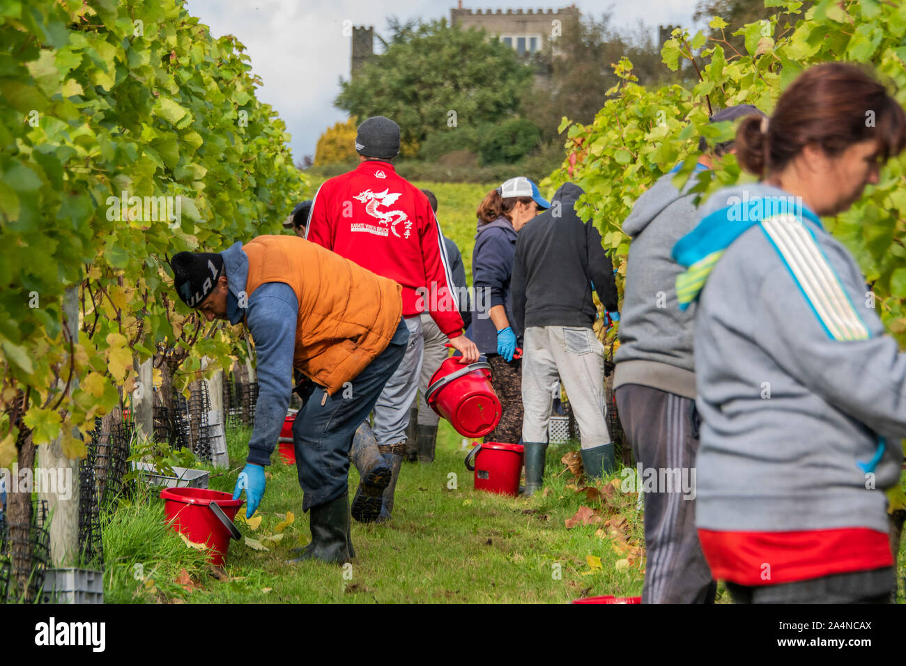Seasonal workers hi-res stock photography and images - Alamy