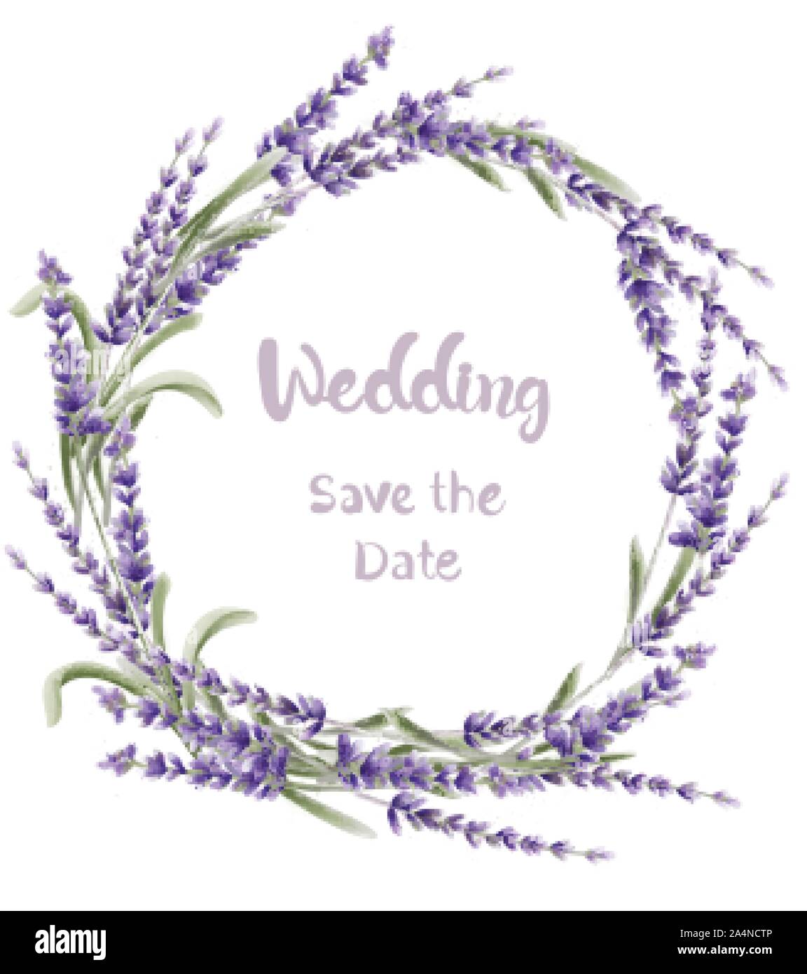 Lavender wreath wedding card vector watercolor. Isolated background ...