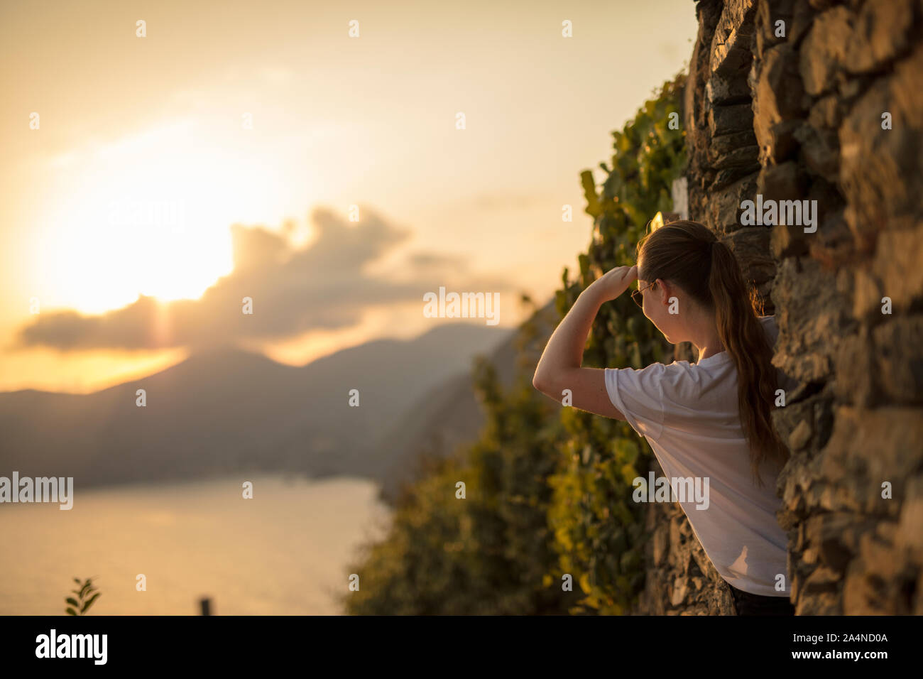 Evening sky looking up hi-res stock photography and images - Alamy