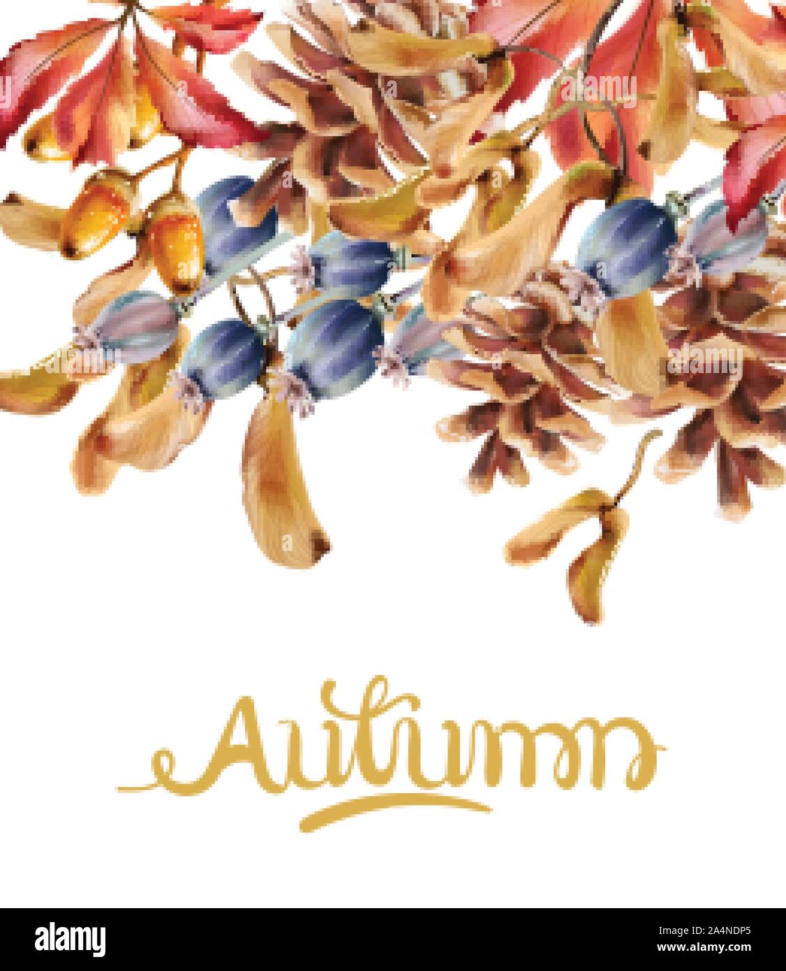 Autumn flowers bouquet card vector watercolor. Isolated background ...