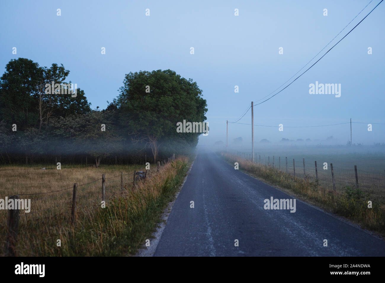 Country road at dawn Stock Photo - Alamy