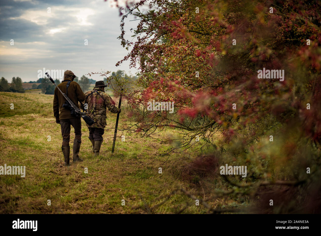 Hunters with rifle europe hi-res stock photography and images - Alamy