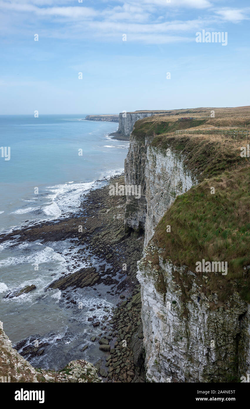 The Beautiful Scenic Coastline with Limestone Cliffs at Bempton Cliffs ...