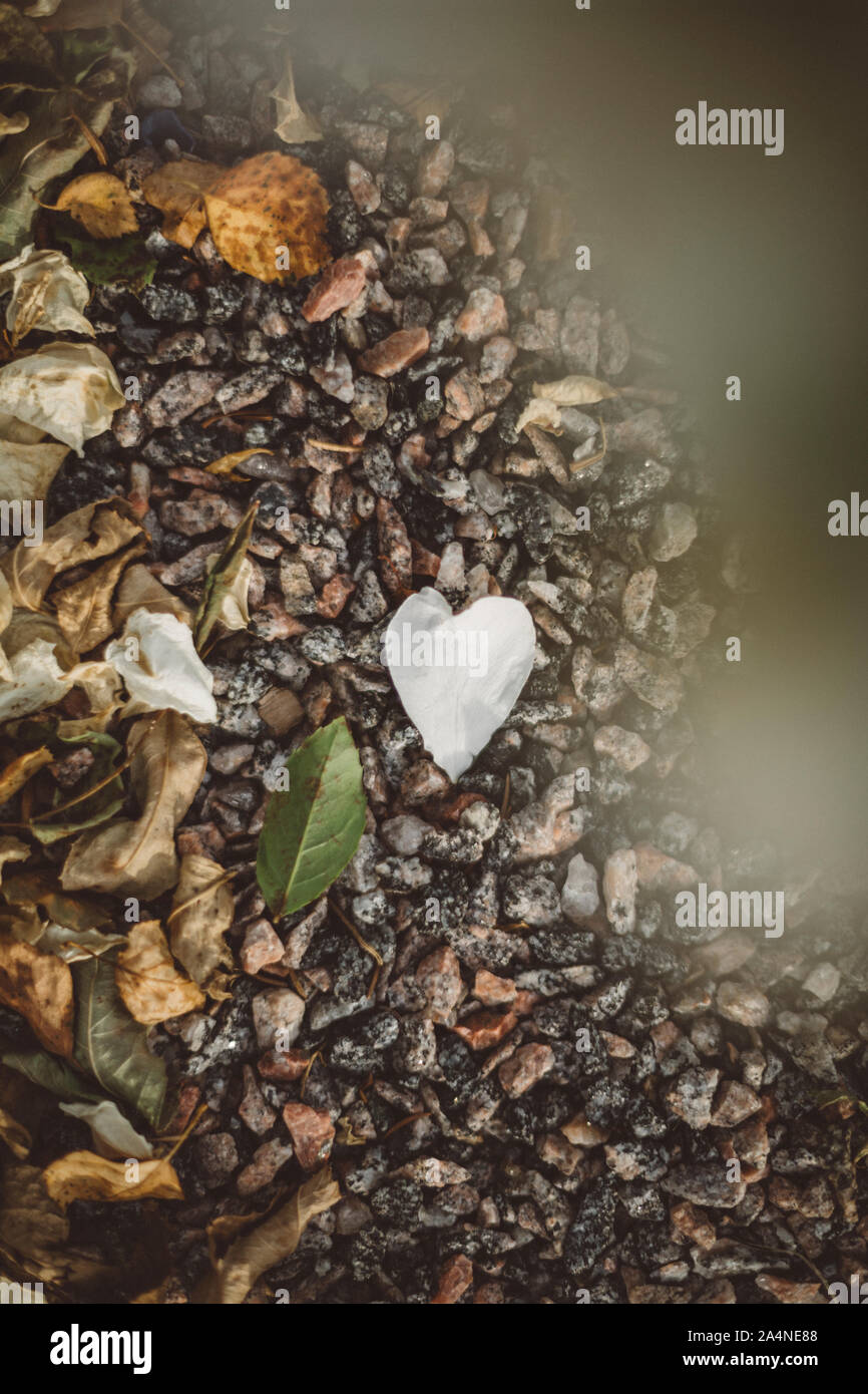 Heart shape paper on ground Stock Photo - Alamy
