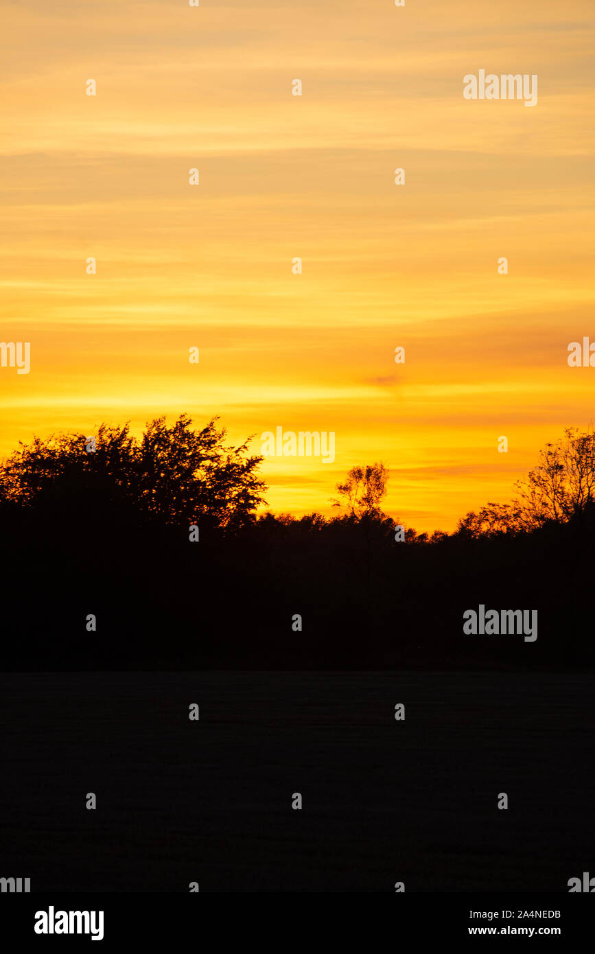A Beautiful Orange Sunset over Farm Land and Woodland at Sawdon North ...