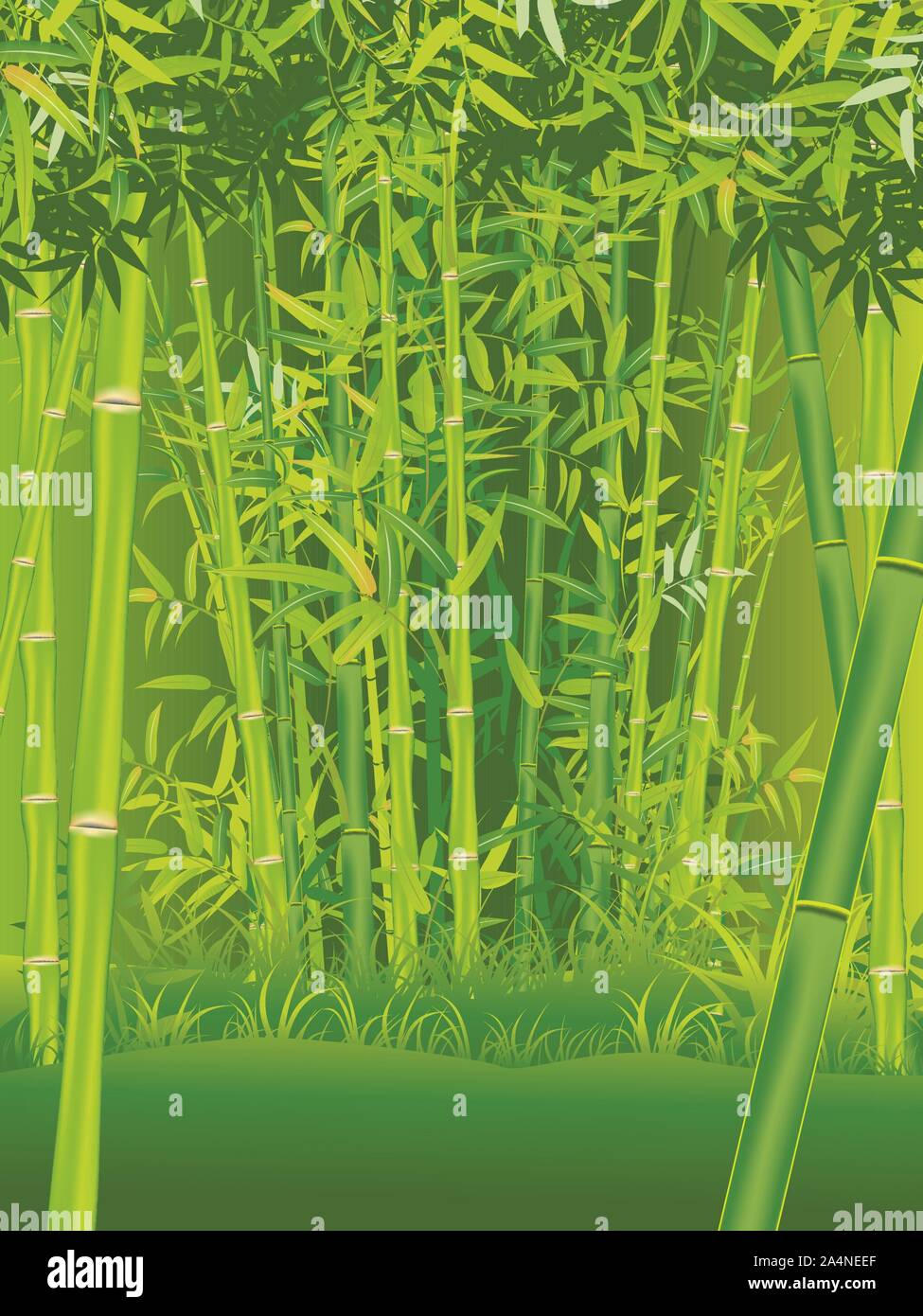 Illustration of bamboo trees, asian forest landscape background Stock ...