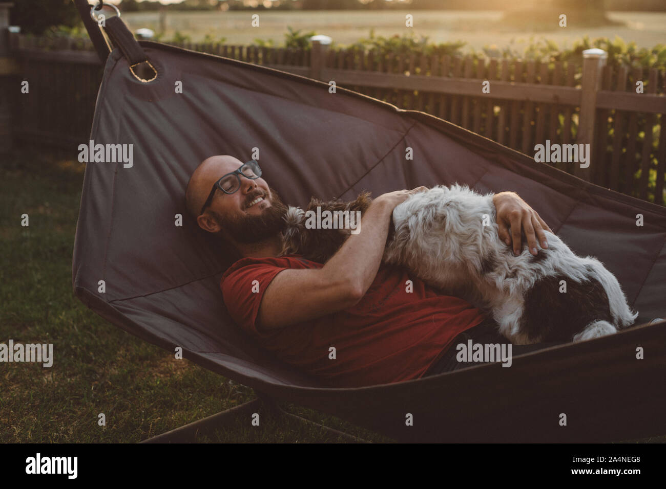 Man relaxing in hammock with dog Stock Photo - Alamy