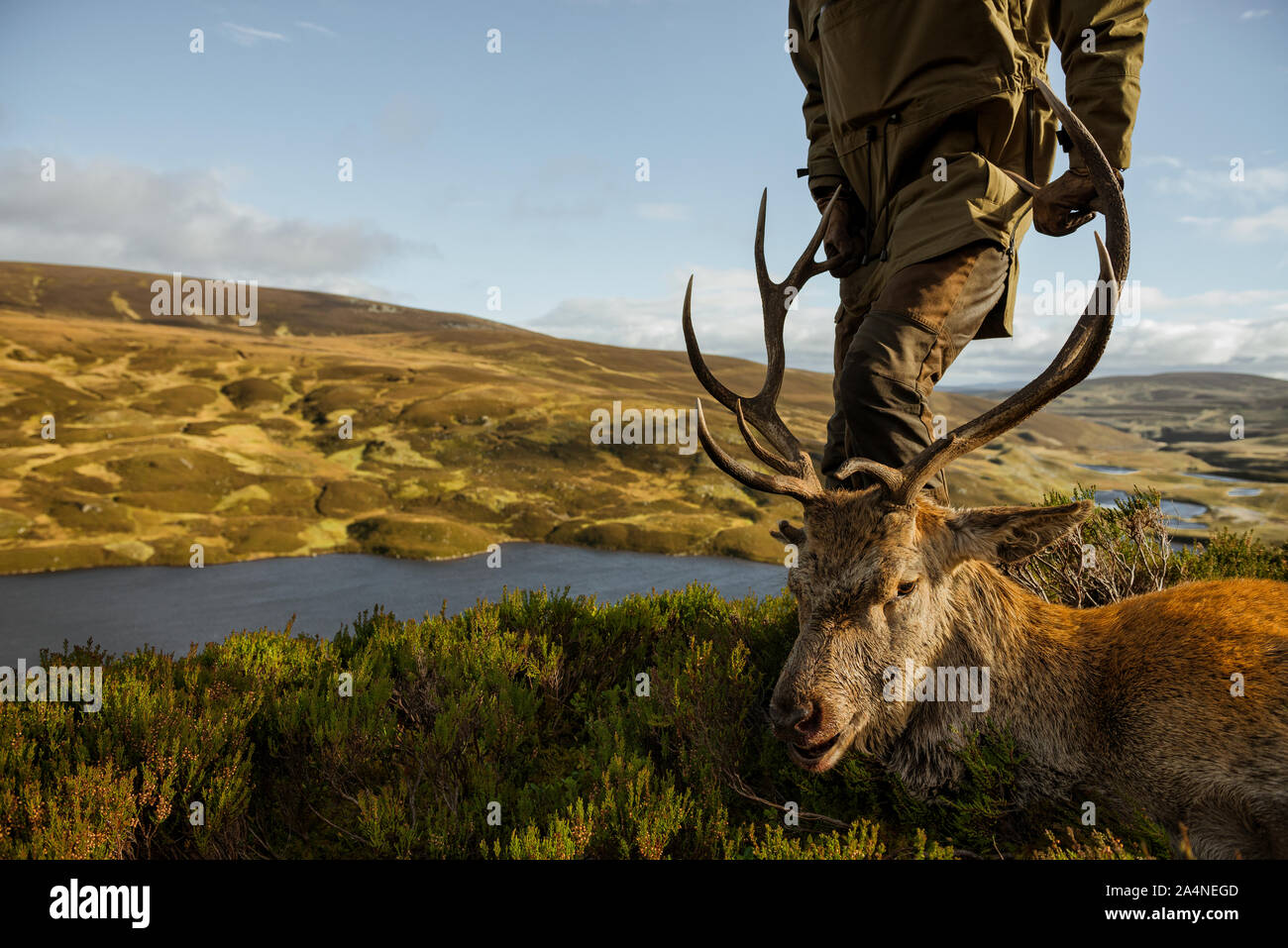 Hunting scotland lake red deer hi-res stock photography and images - Alamy
