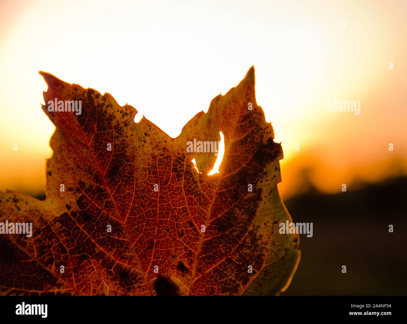 Strong pattern sunset hi-res stock photography and images - Alamy