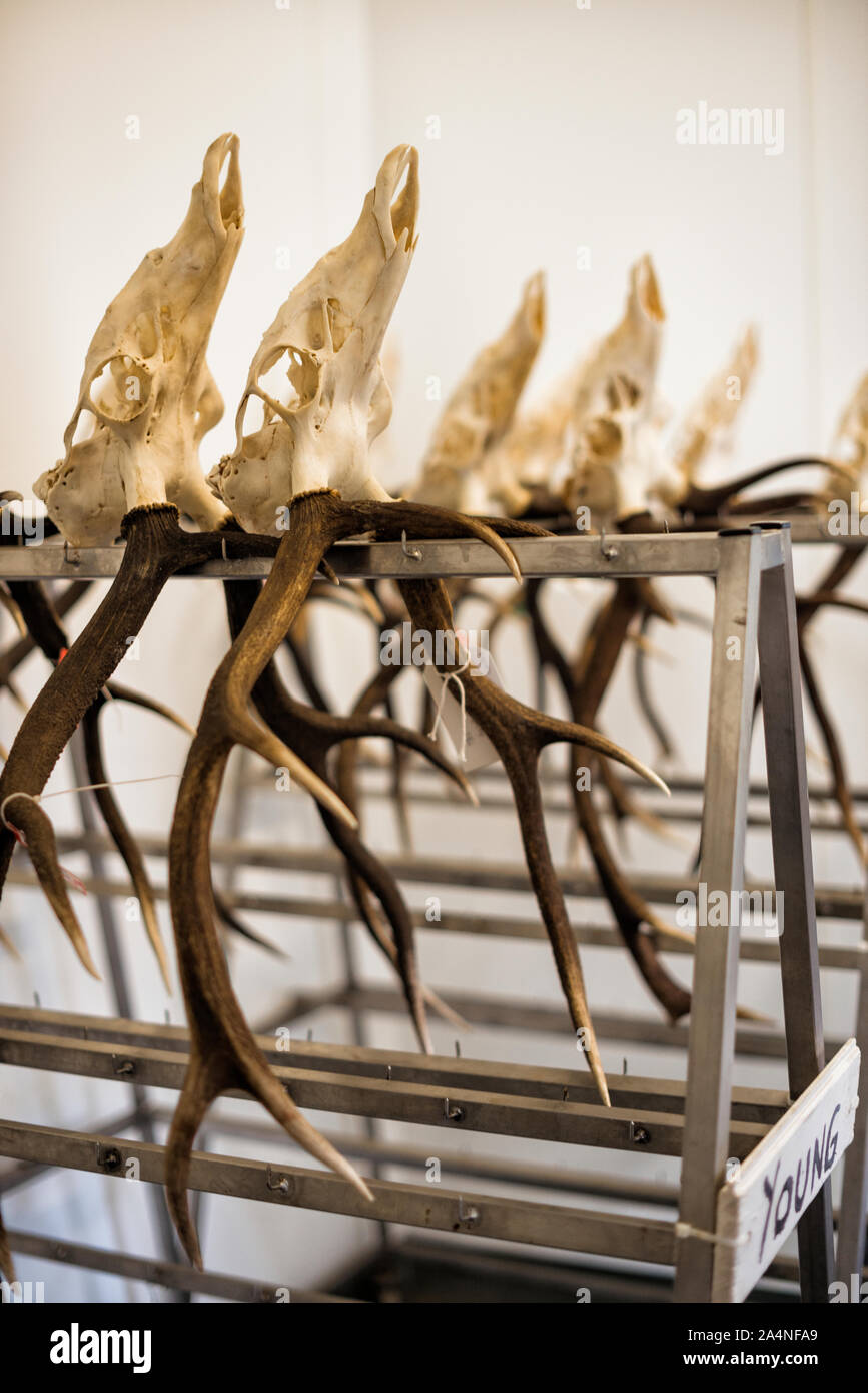 Focus racks hi-res stock photography and images - Alamy