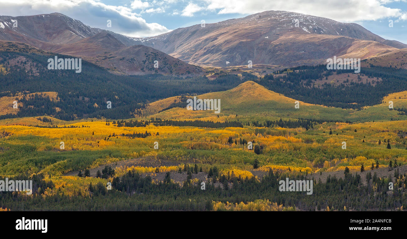 Scenic view of the landscape of Colorado with the golden aspens in ...