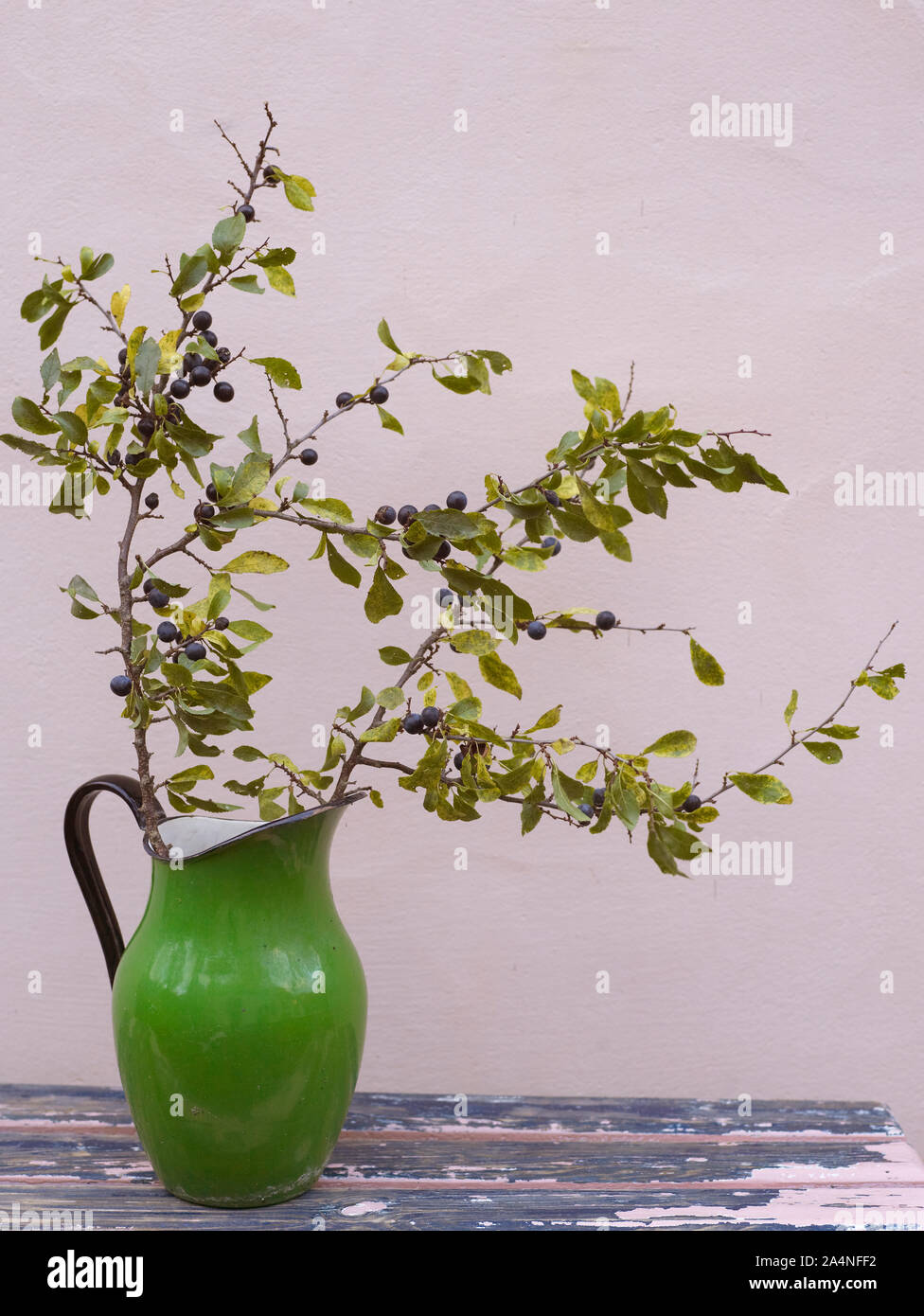 Plant in green jug Stock Photo - Alamy
