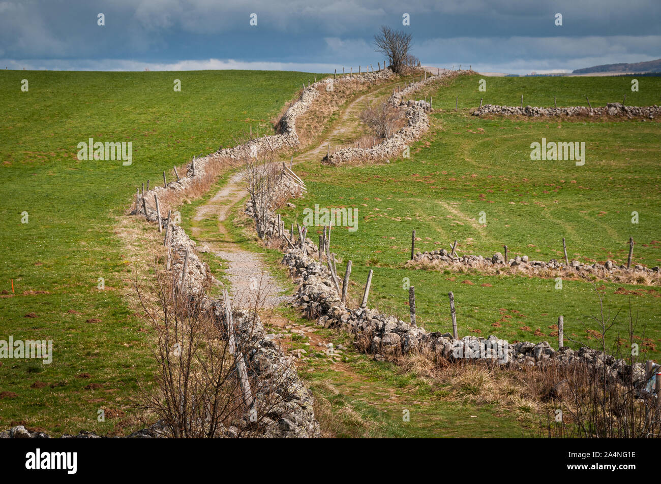 stony Pathway or footpath leading up hill towards a cloudy sky ,with ...
