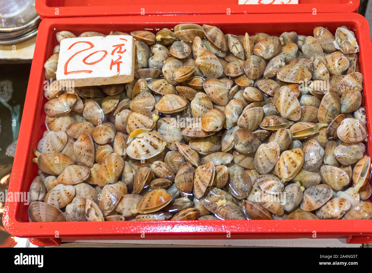Fresh Clams Shells in Crate at Fish Market Stock Photo - Alamy