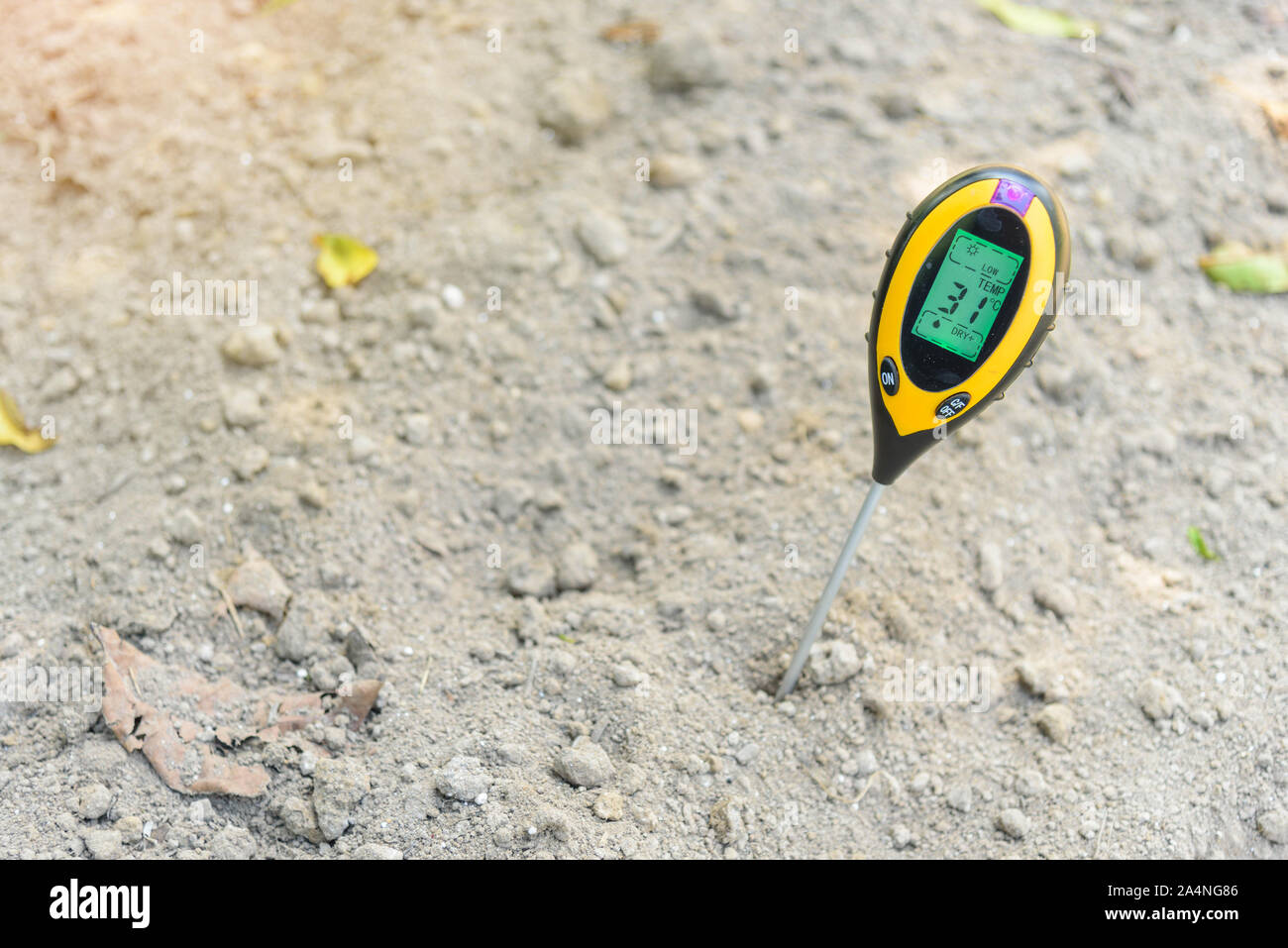 Moisture meter tester in hi-res stock photography and images - Alamy