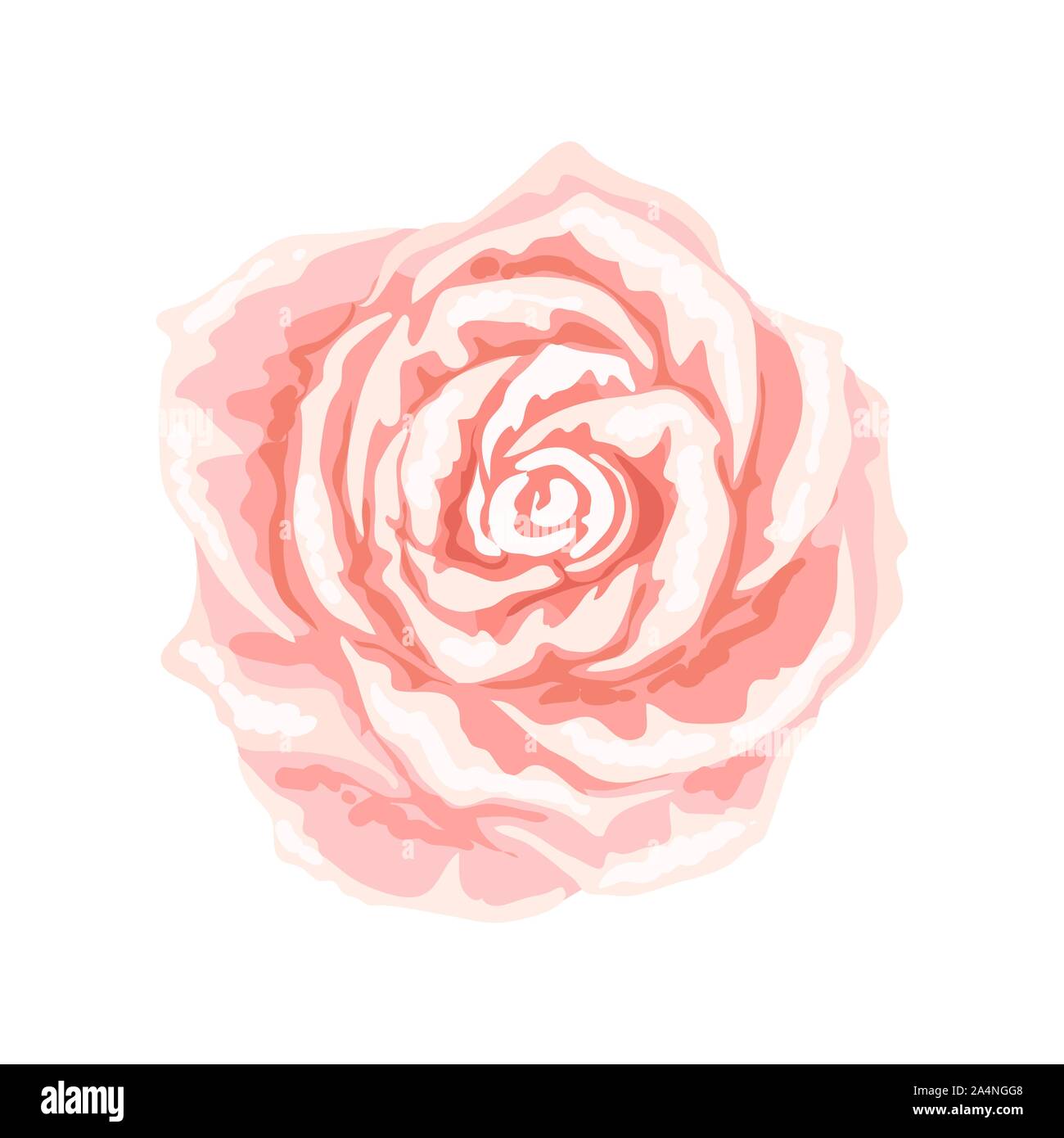 Tender pink rose petal Stock Vector Images - Alamy
