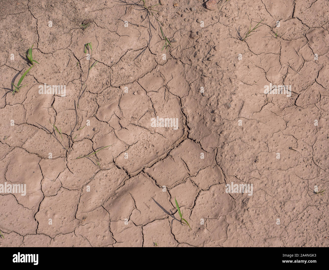 Cracked and very dry land, background Stock Photo - Alamy