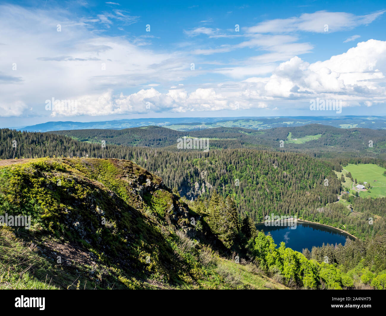 Black forest in spring hi-res stock photography and images - Alamy