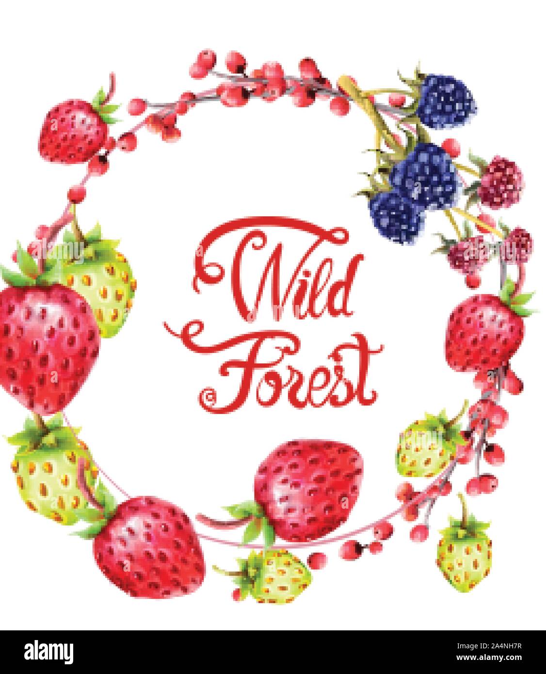 Wild forest fruits on wreath vector. Strawberries and berries Stock ...