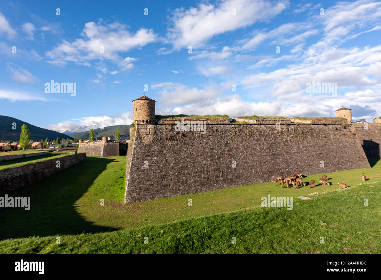 Deer outside Walls of the Citadel of Jaca, Jaca, Aragon, Spain Stock ...