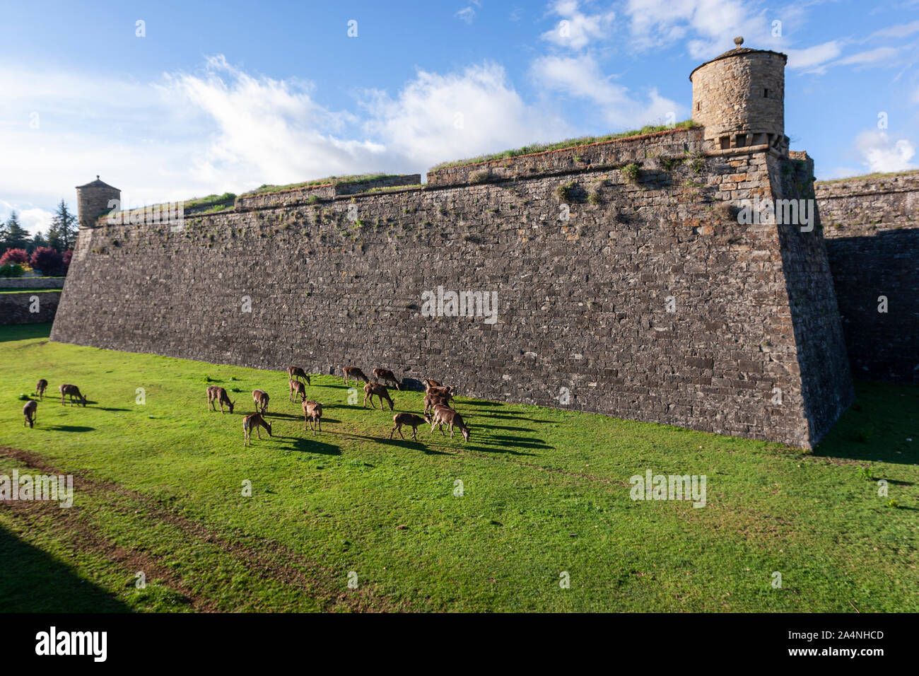 Deer outside Walls of the Citadel of Jaca, Jaca, Aragon, Spain Stock ...