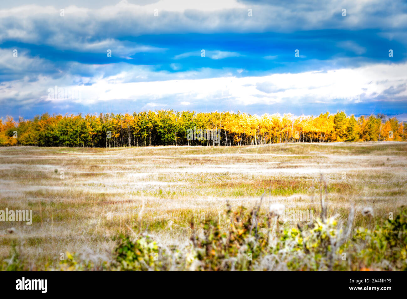 Magical fall colors hi-res stock photography and images - Alamy