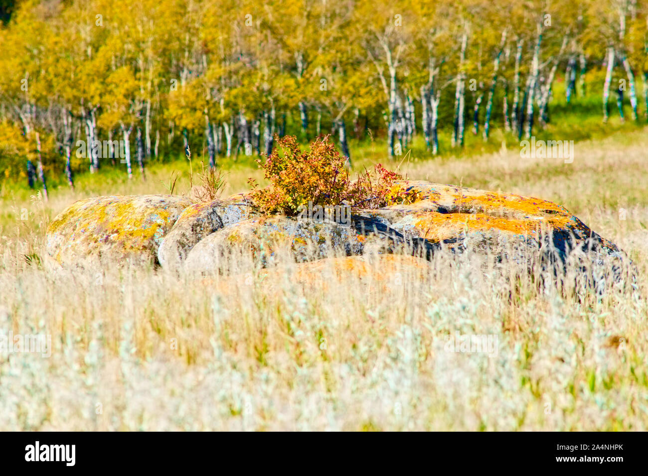 Southern alberta scenery hi-res stock photography and images - Alamy
