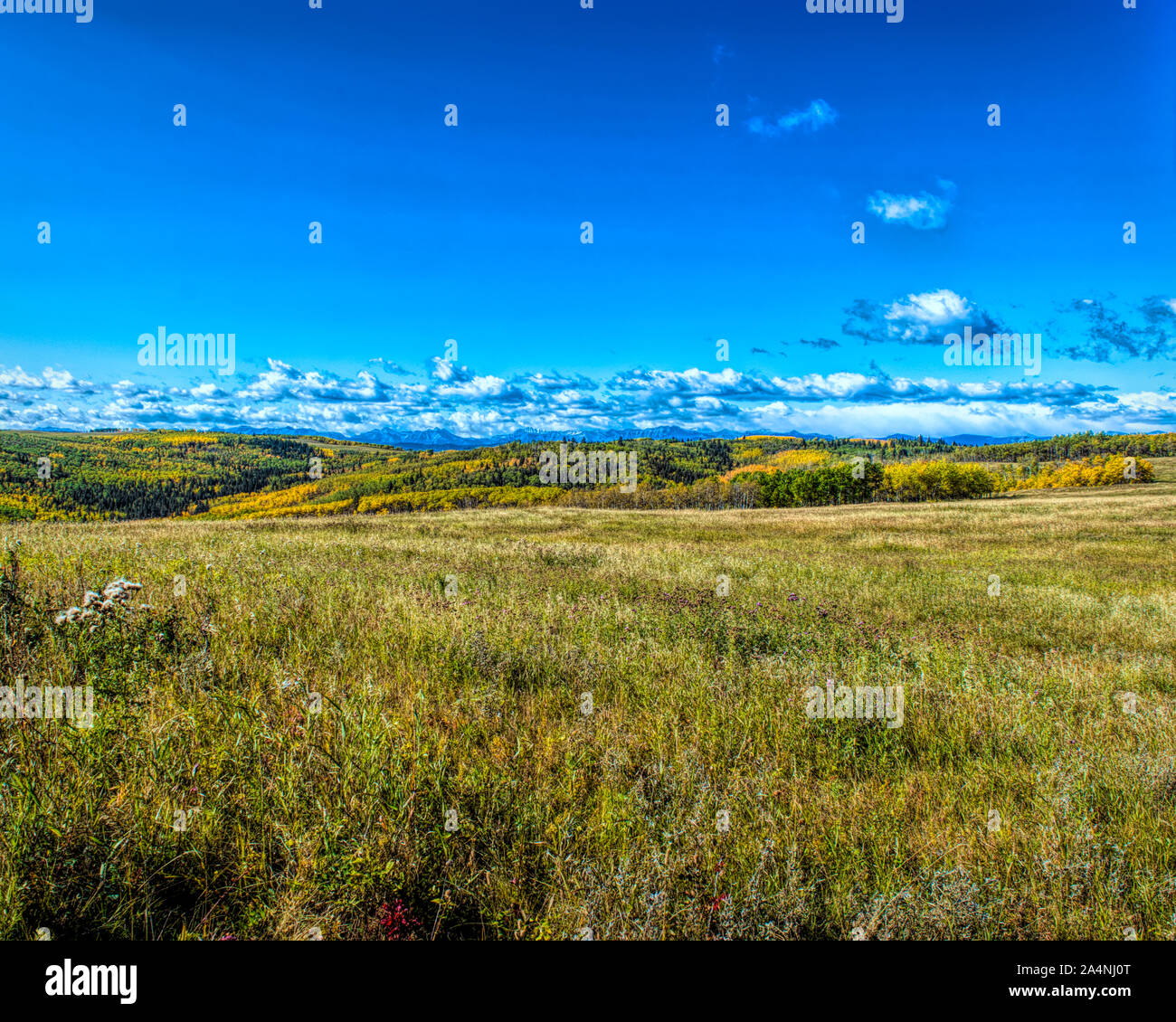 Southern alberta scenery hi-res stock photography and images - Alamy
